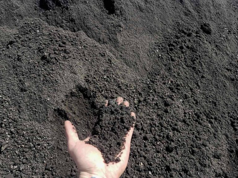 O firmie – Czarnoziem Szczecin